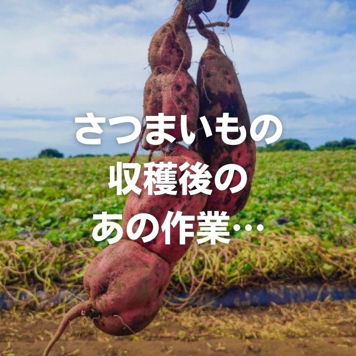 トラクター用つる刈機用土ほぐしディスク ジョーニシ THD-60K｜農機具通販ノウキナビ